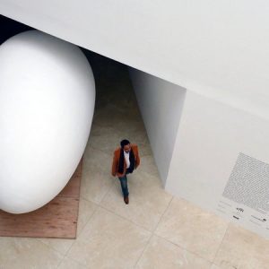 Clips – Nell McShane Wulfhart