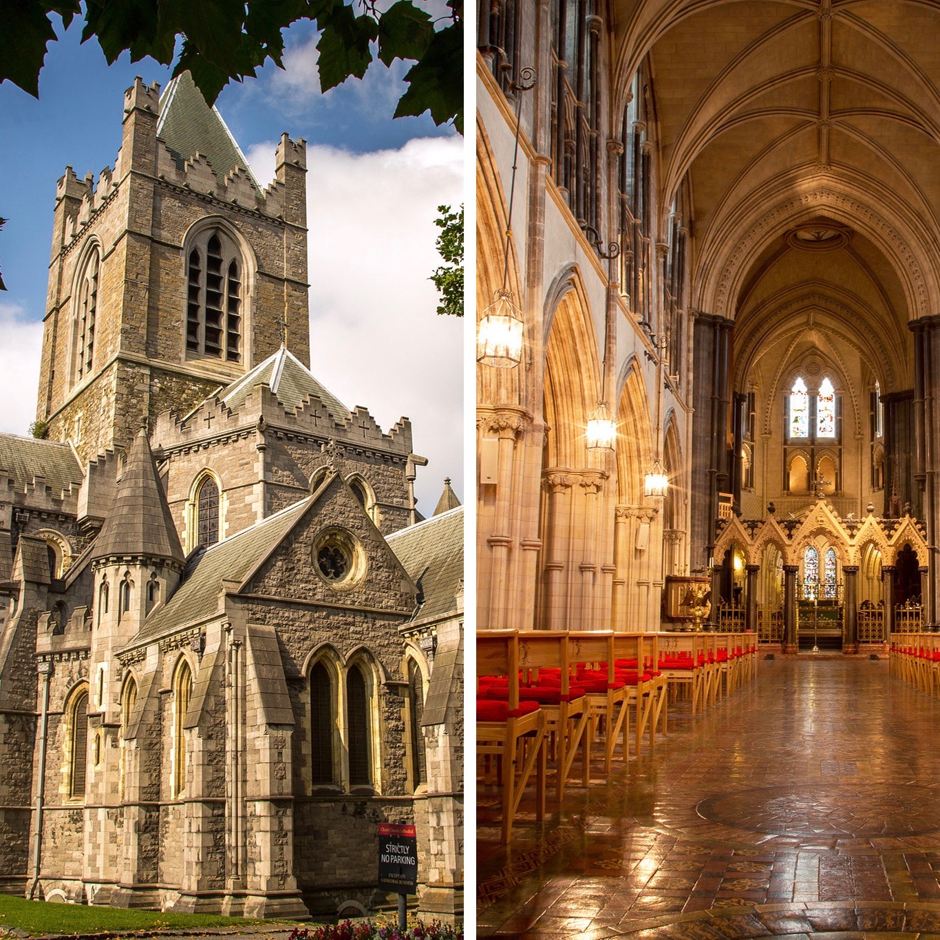 Clips – Nell McShane Wulfhart