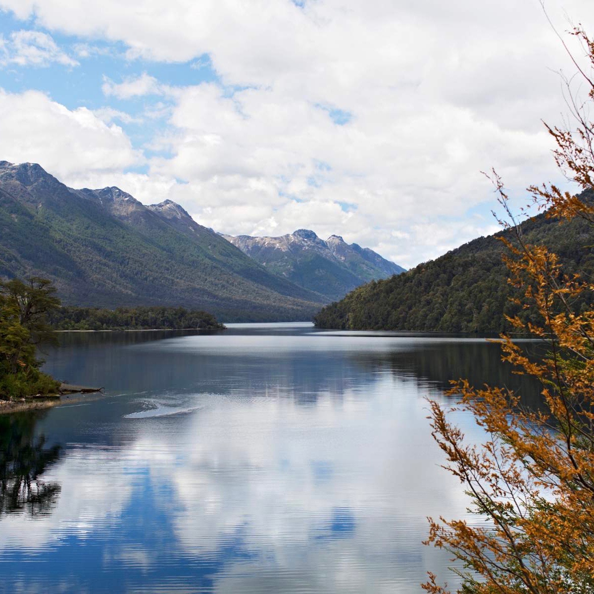 Clips – Nell McShane Wulfhart